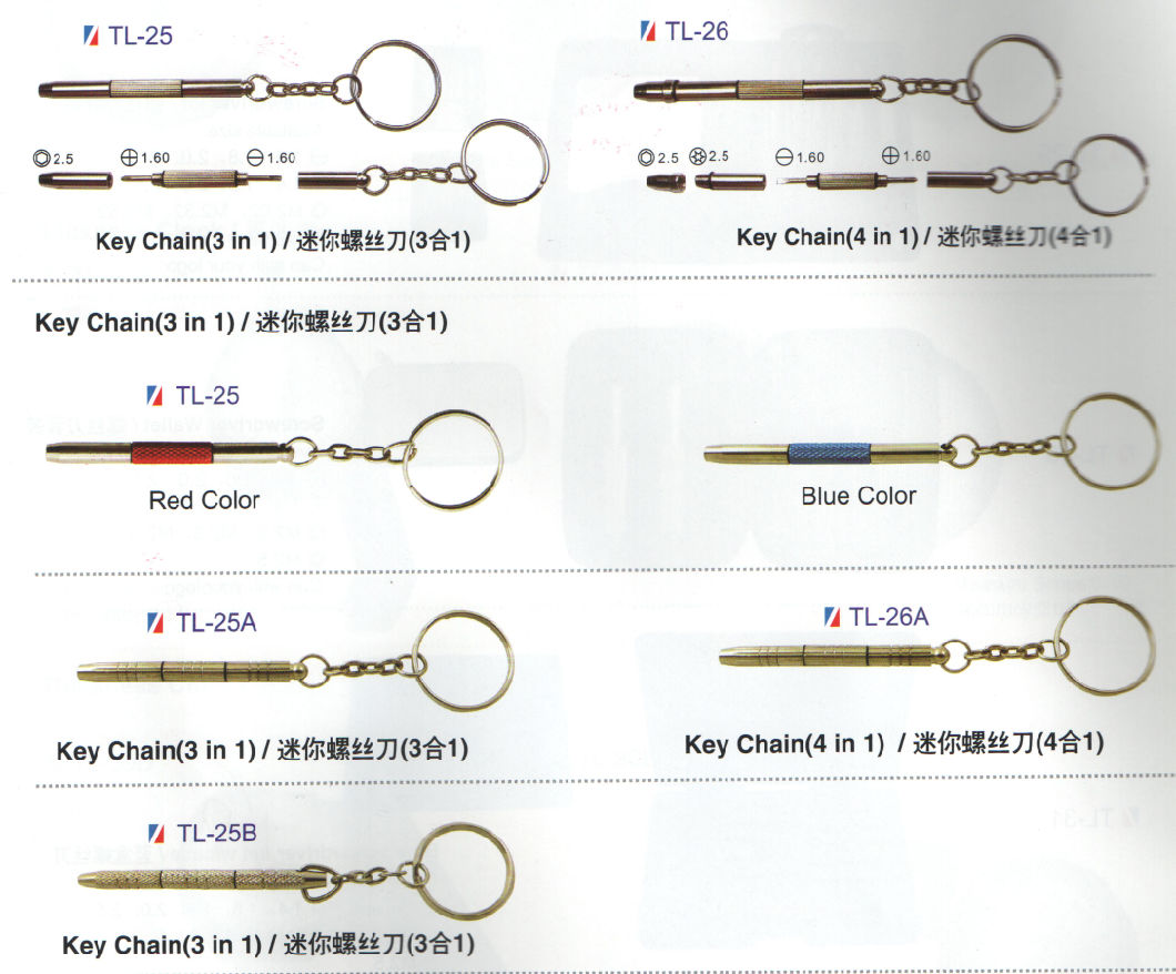 Small Screw Key Chain