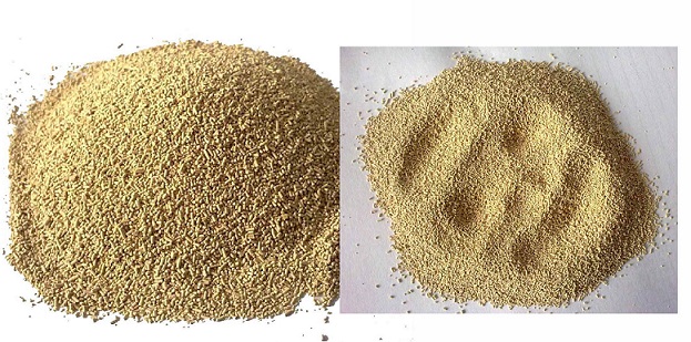 yeast powder vacuum sachet packing machine factory & manufacturer