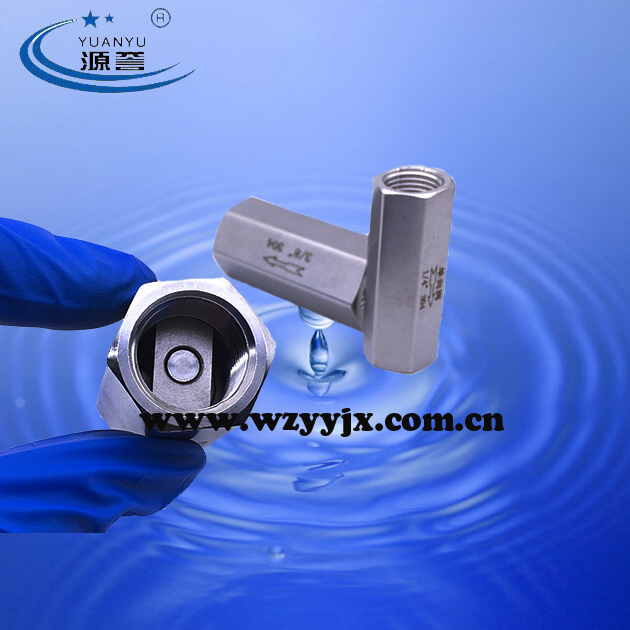 Stainless Steel Hexagon Check Valve - Buy Product on Wenzhou Yuanyu ...
