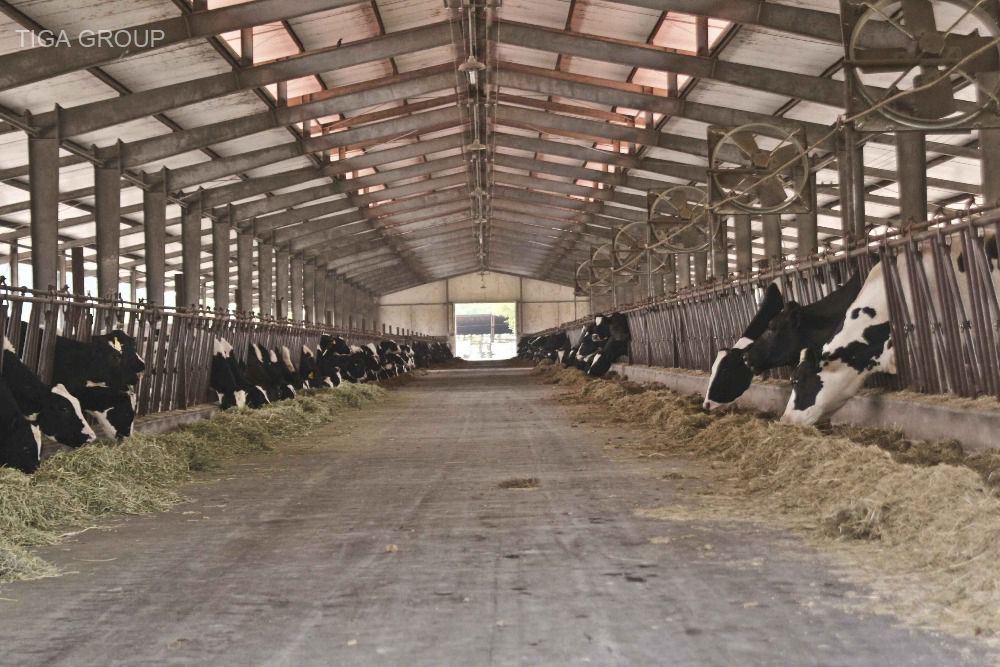 Popular Prefabricated Steel Structure Godown Design for South America