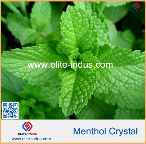 Menthol Crystal - Buy Menthol Crystal, Natural Menthol crystal Product ...