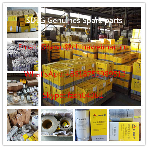 Sdlg LG936L LG938L LG956L LG958L LG968 L958f L956f Hydraulic Filter ...