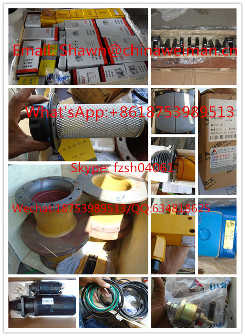 Sdlg LG958L Wheel Loader Spare Parts Fuel Filter 4110000509232/ ...