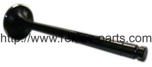 Intake valve N17-01-005 for Ningdong engine parts for N170 N6170 N8170 ...