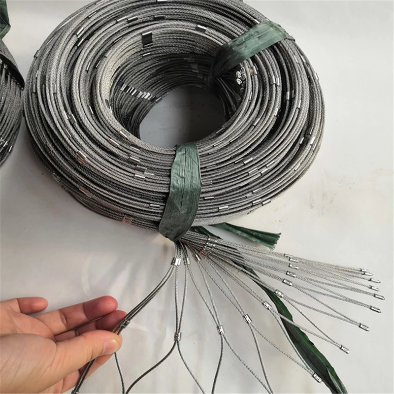 Stainless Steel Cable Mesh Netting from China Manufacturer - ANPING ...