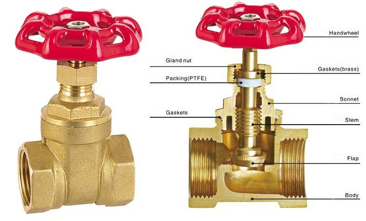 Brass/Bronze 2" Gate Valve with Pn16 Pressure
