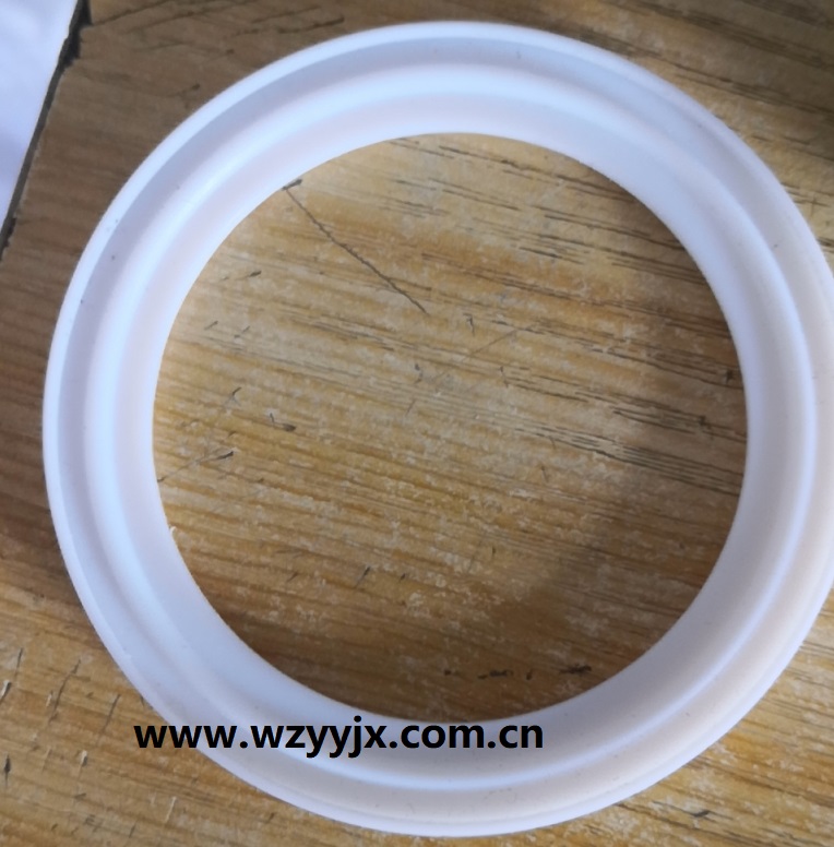 Teflon Ferrule Gasket With Lip - Buy Product on Wenzhou Yuanyu ...