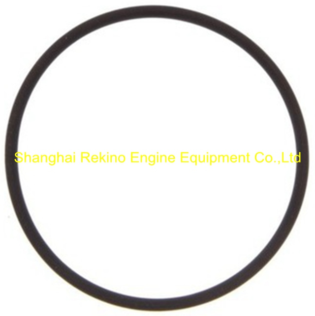 Cummins ISDE ISBE Seal O ring 2830977 3977375 - Buy 2830977, 3977375 ...