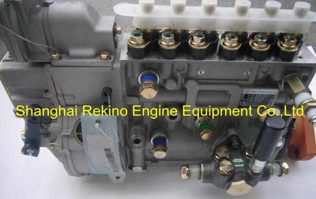 612600081236 6P1194 Weifu fuel injection pump for Weichai WD12 - Buy ...